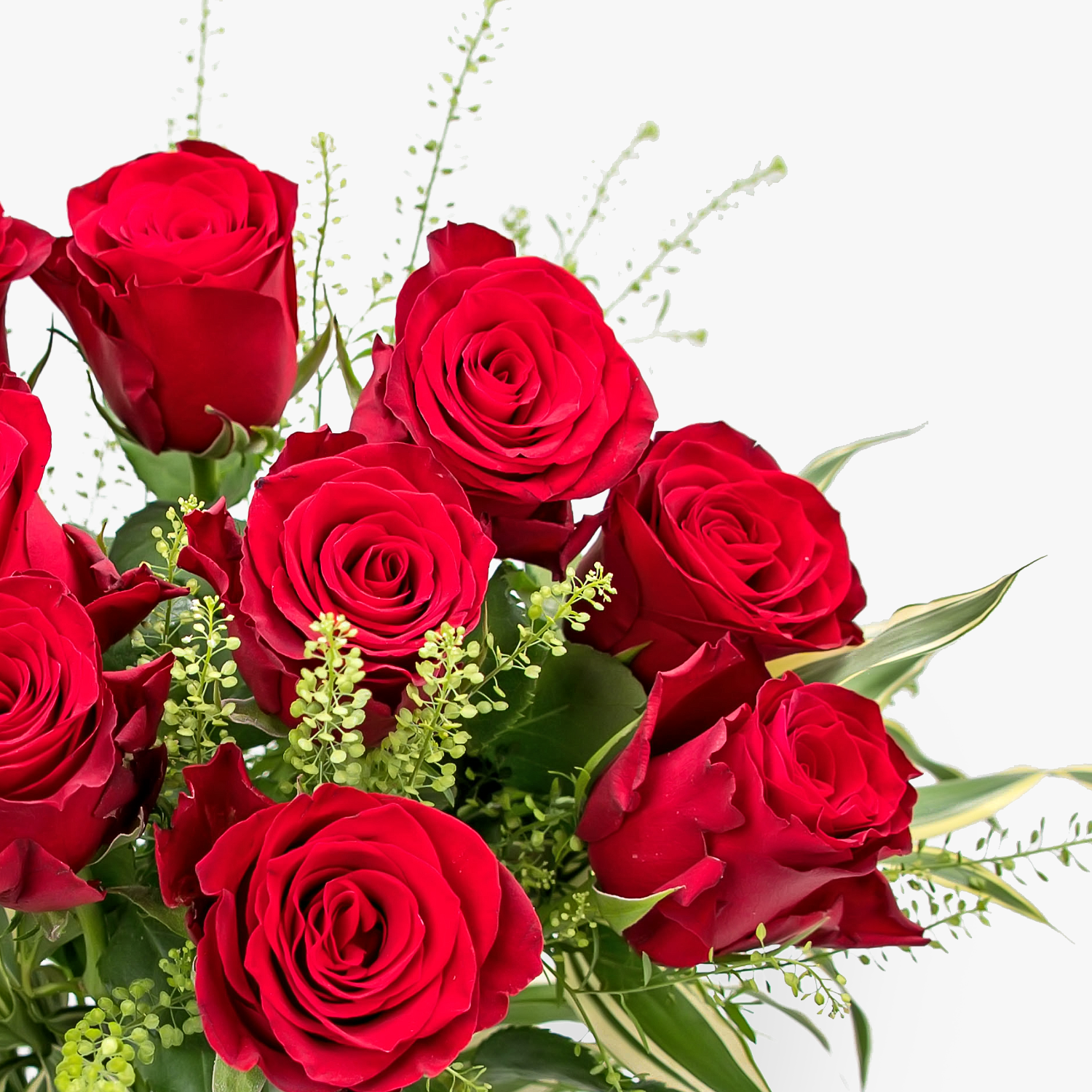 Royal Roses | Haute Florist