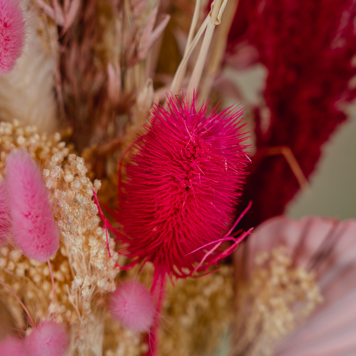 Pink Cocktail Dried Flowers | Haute Florist