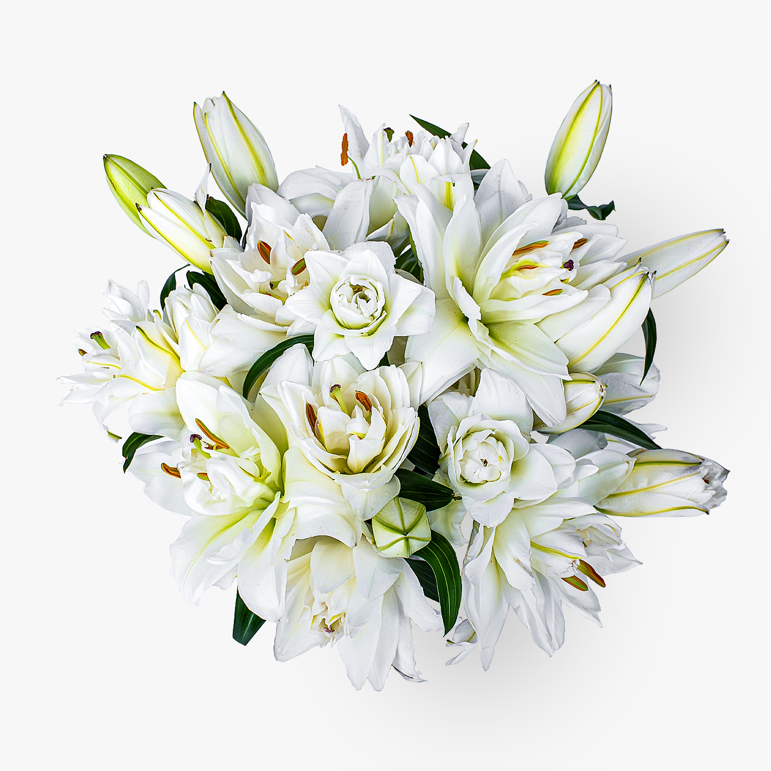 Double-Flowering Lilies | Haute Florist