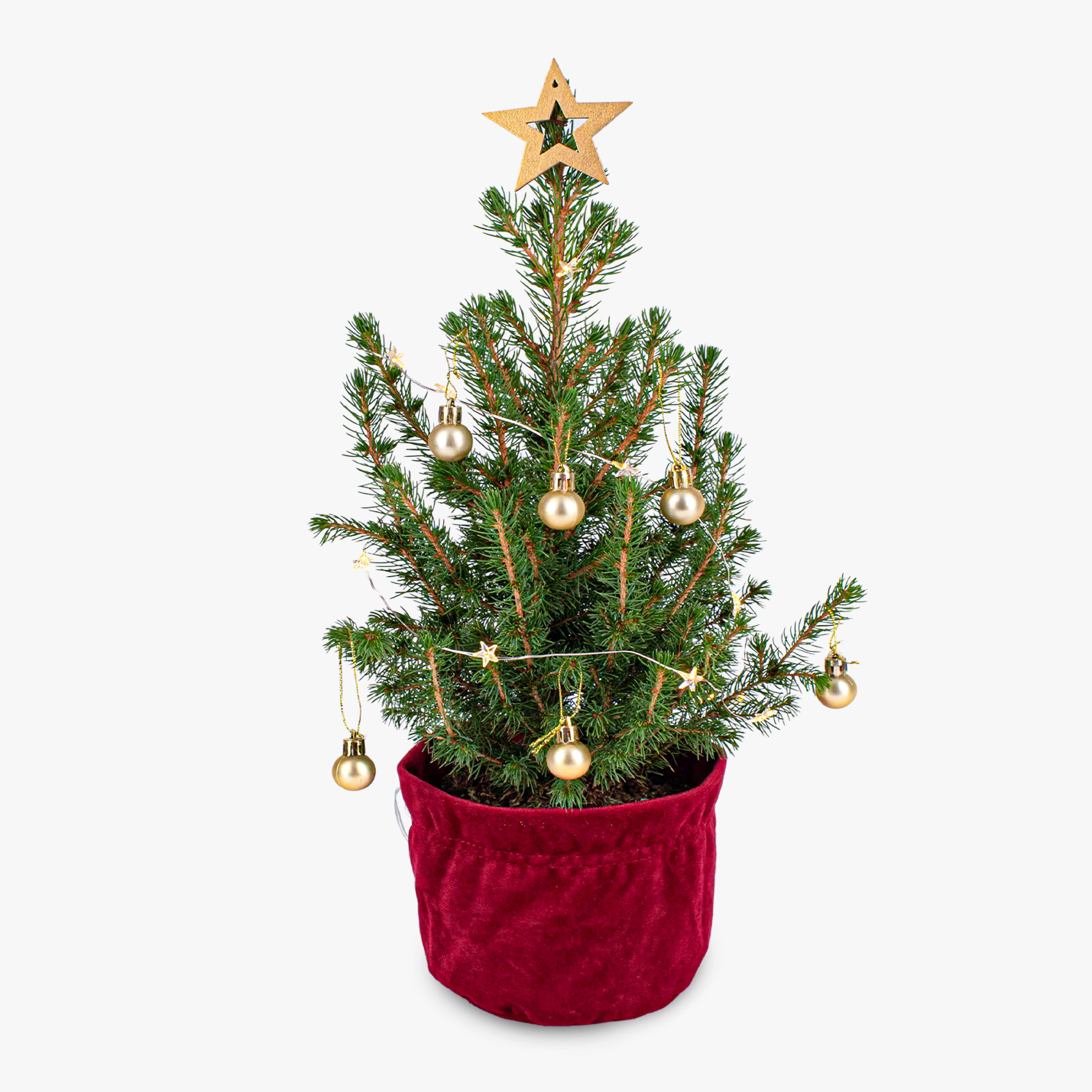 Merry Christmas Letterbox Tree | Haute Florist